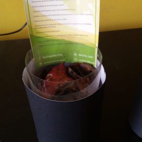 VermiCompostera de Tambor Lavadora - Recicrea